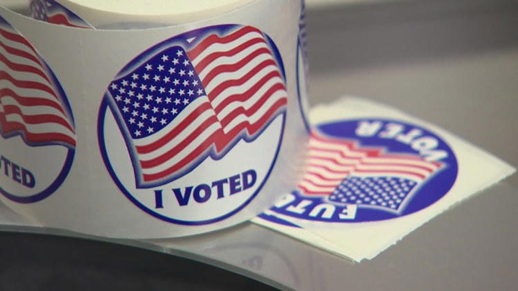 Special election District 17: voter guide