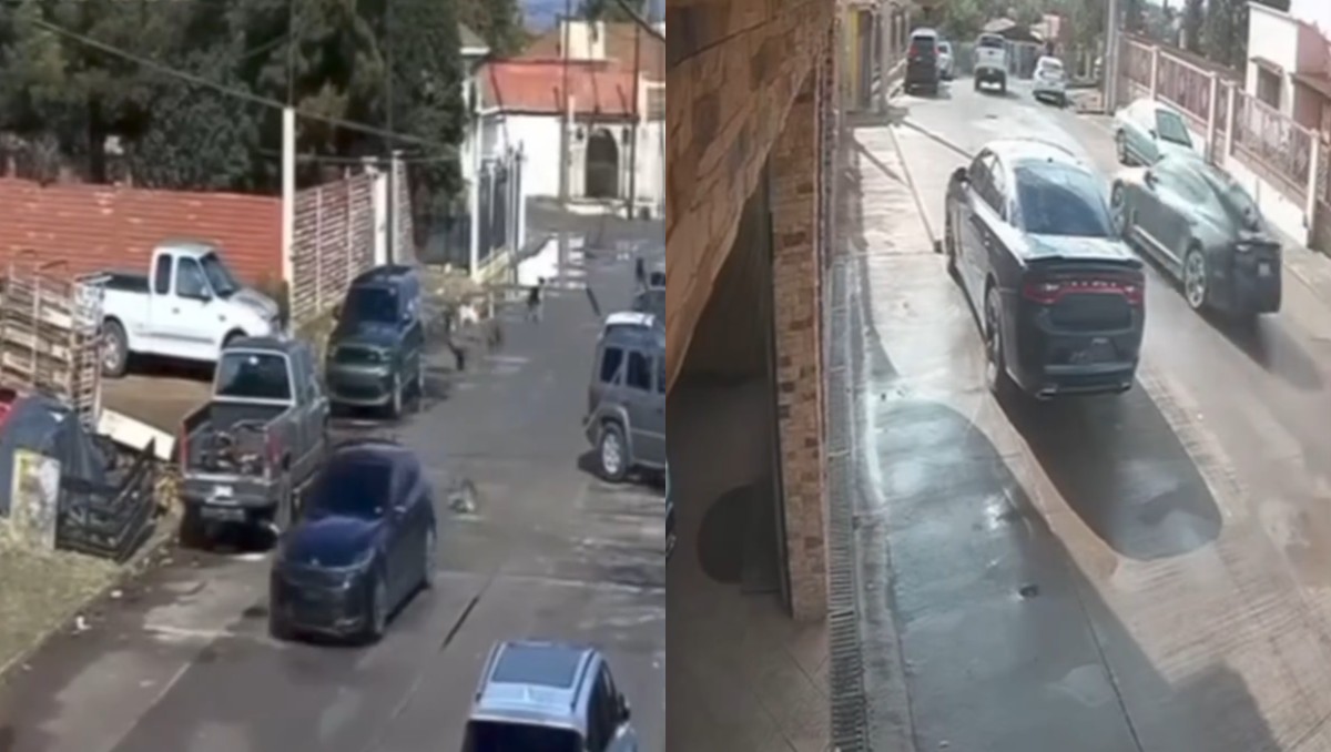 Vehículo embiste brutalmente a perros en Sonora; identifican a responsable