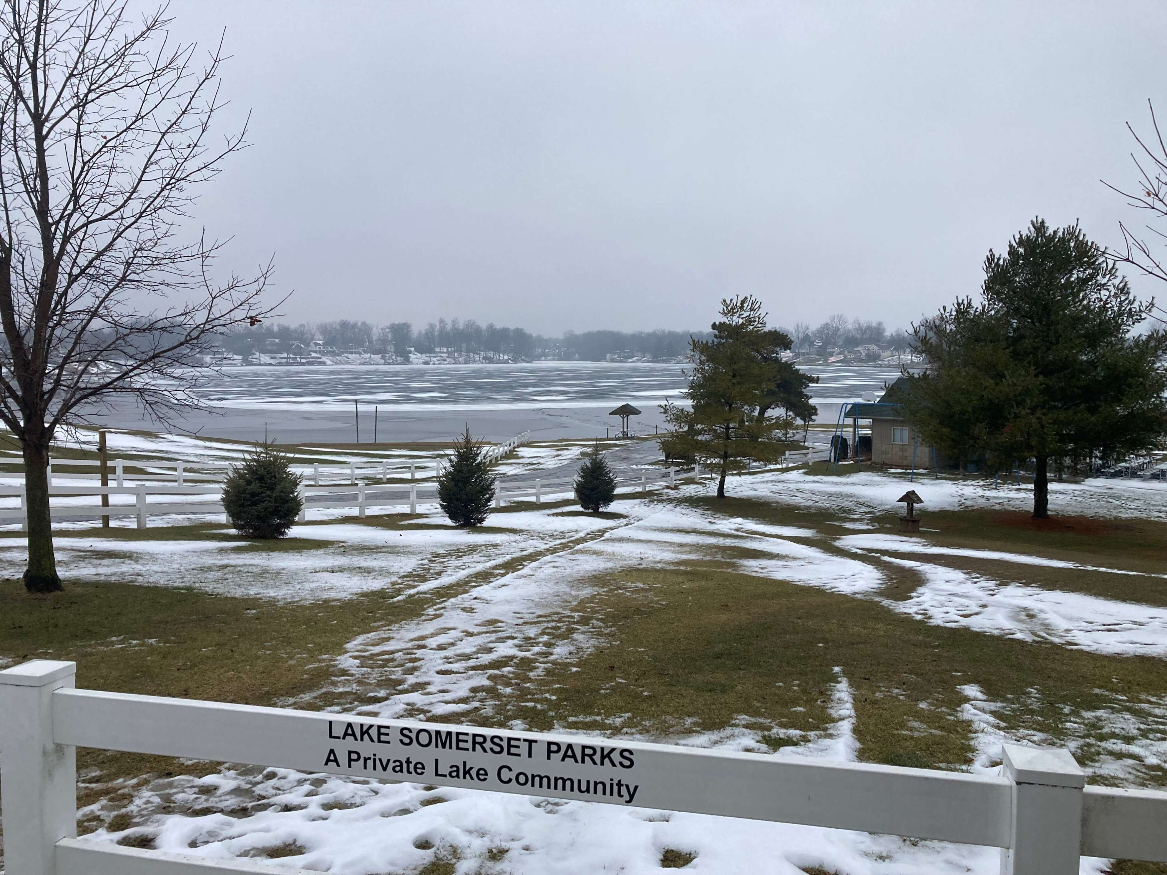 Man, two dogs fall through ice, die in southern Michigan lake