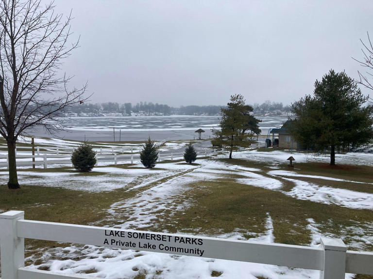 Man, two dogs fall through ice, die in southern Michigan lake