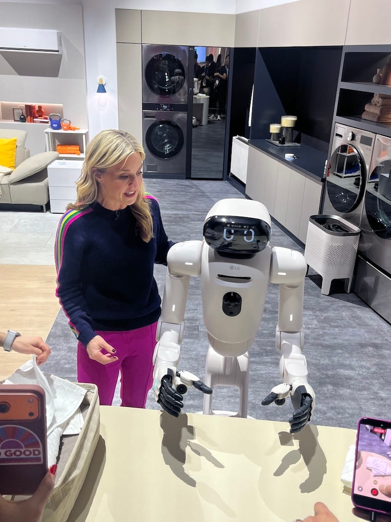 The robots of CES 2026: A lawn mower, helper and digital pet