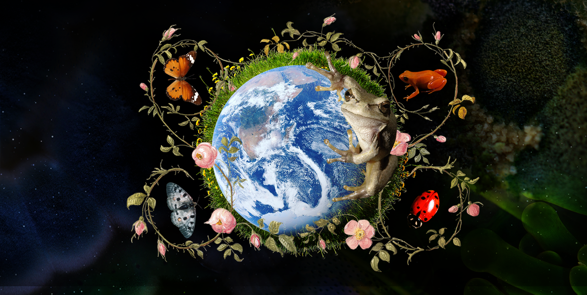 Everything you need to know about earth signs