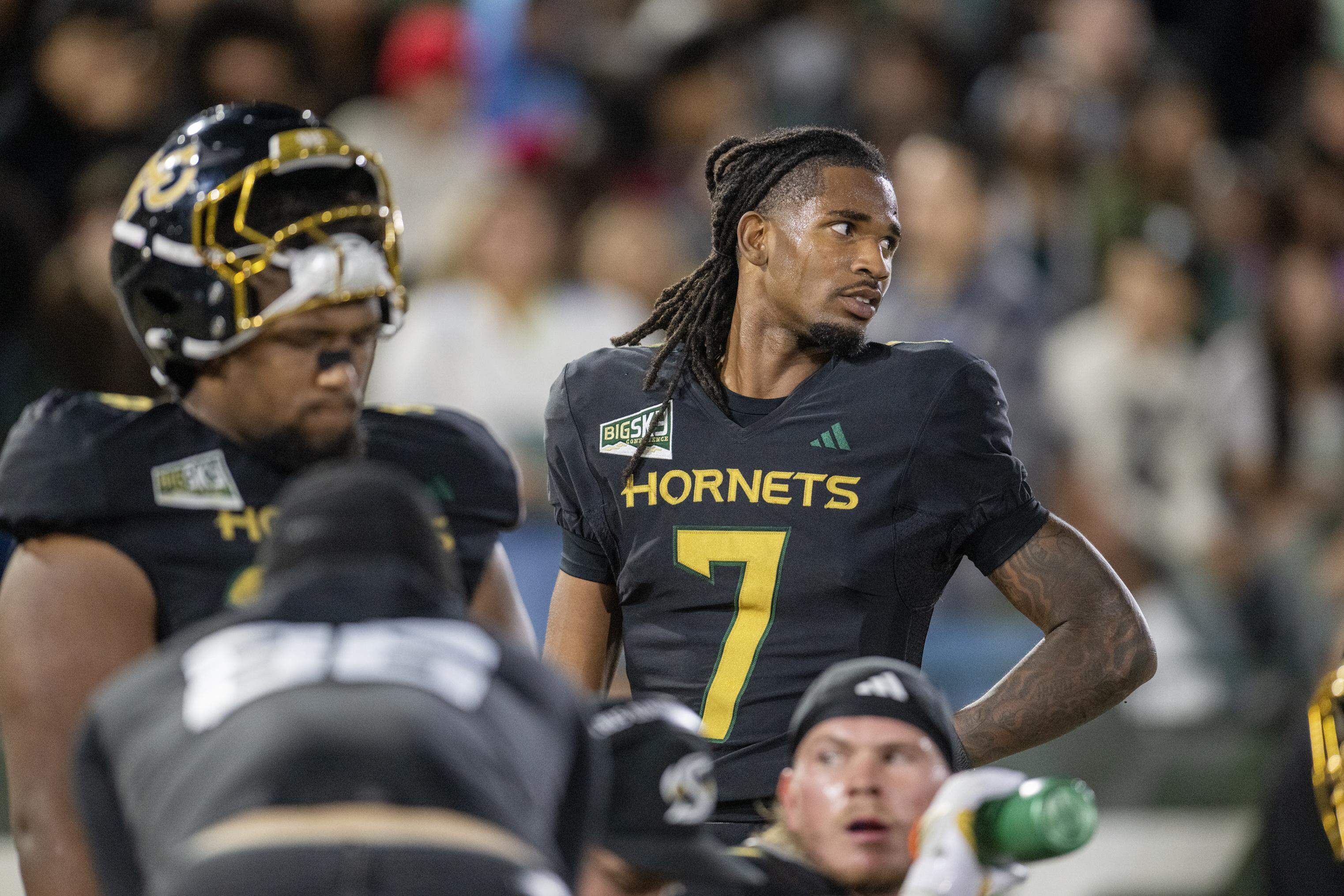 Transfer portal: 2 Sac State QBs depart, Caden Pinnick leaves UC Davis ...