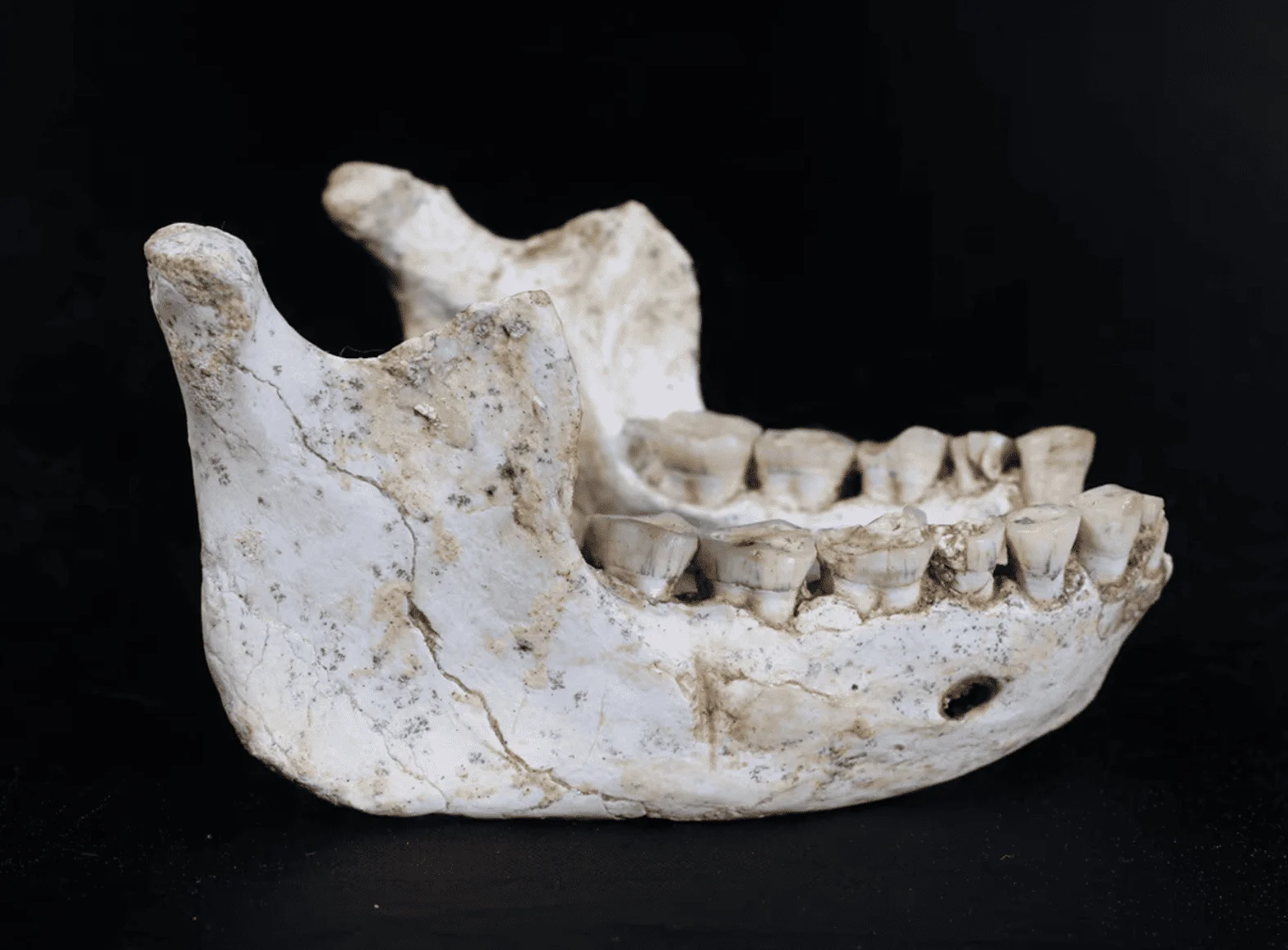 800,000-year-old Moroccan cave fossils trace early Homo sapiens ancestry