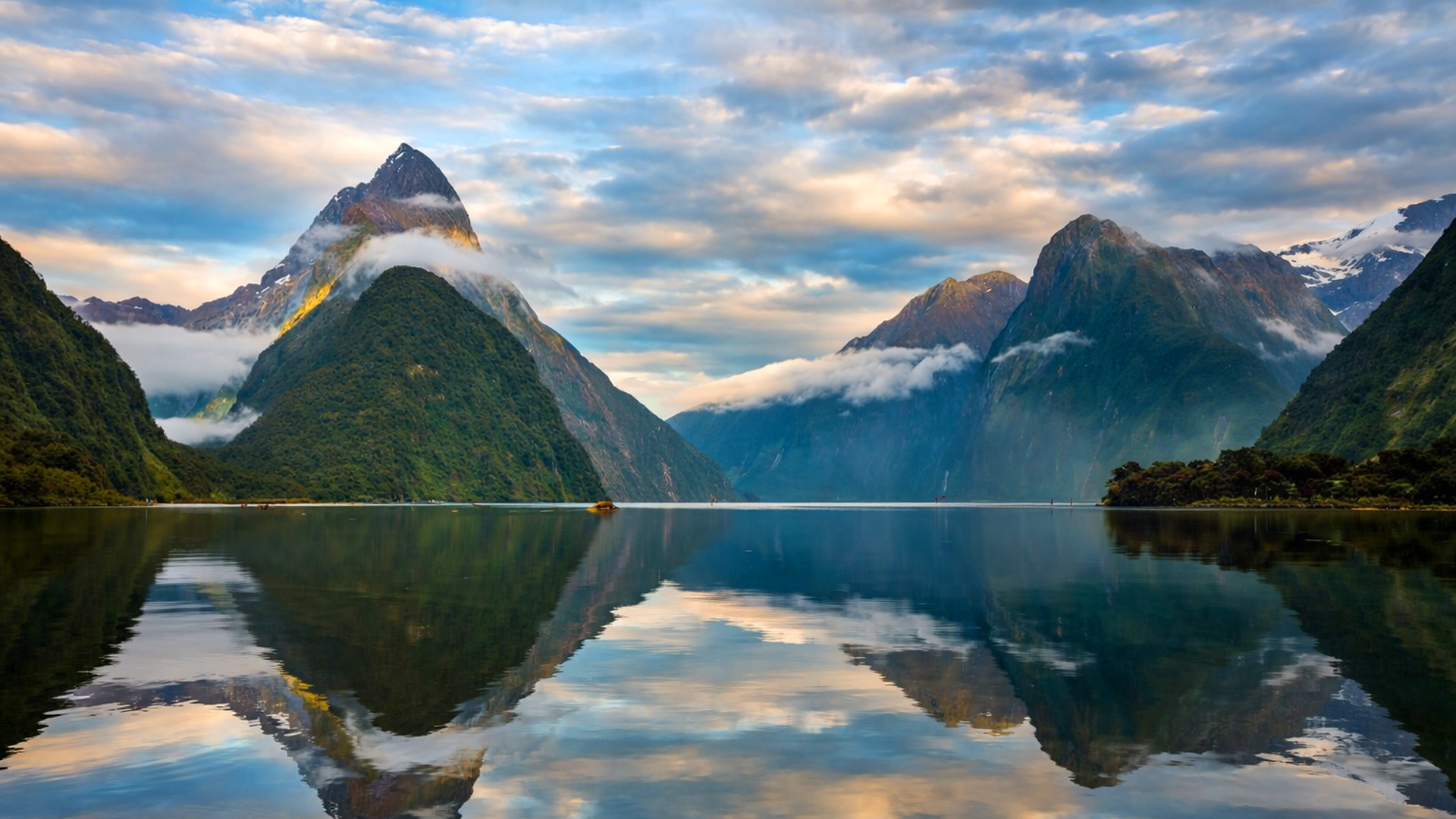 Why do alpine mountains tower over Milford Sound?