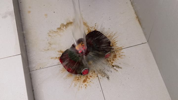 Limpeza profunda transforma carrinho de brinquedo sujo