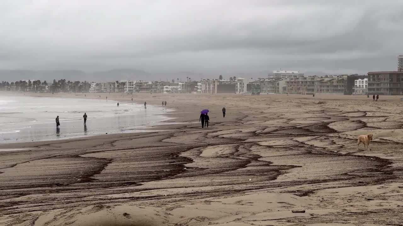 California Rain Storm Beach Debris During King Tides