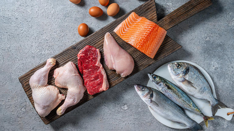 New US food pyramid recommends more protein and less whole grain