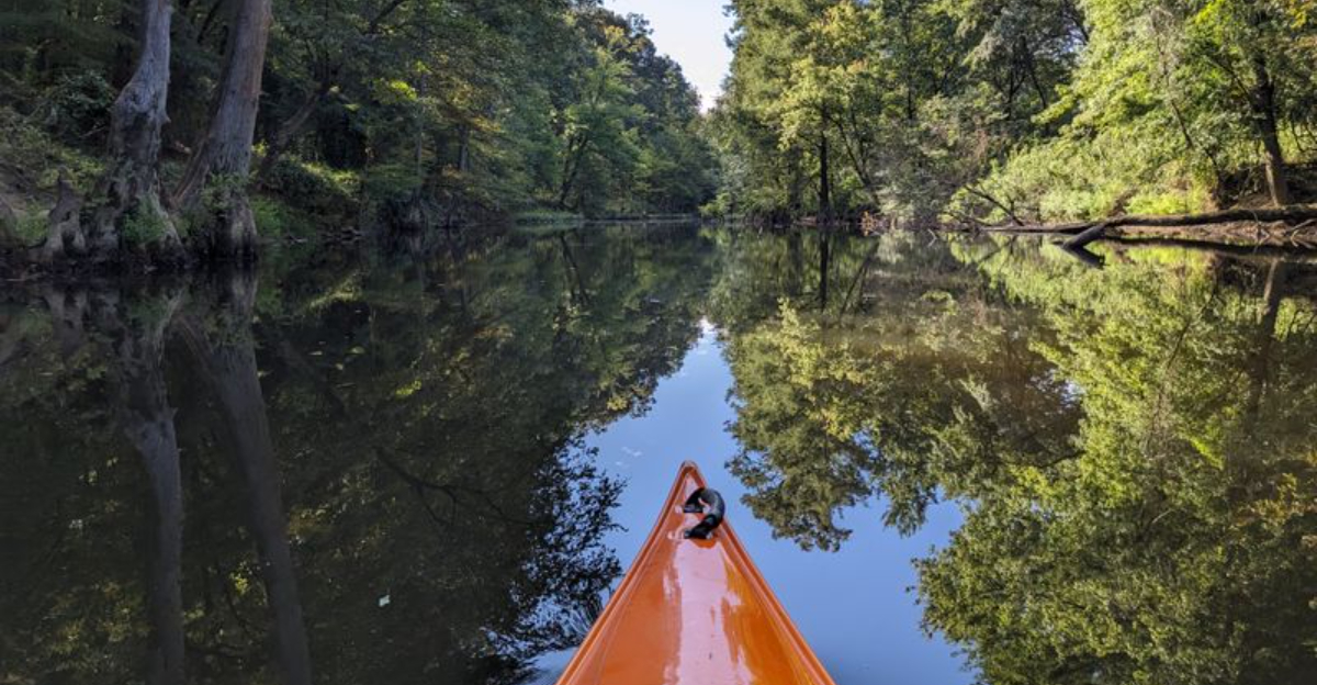This scenic state park in Arkansas still feels like a place few people ...