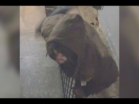 Shots fired at Philadelphia officer after package theft confrontation ...