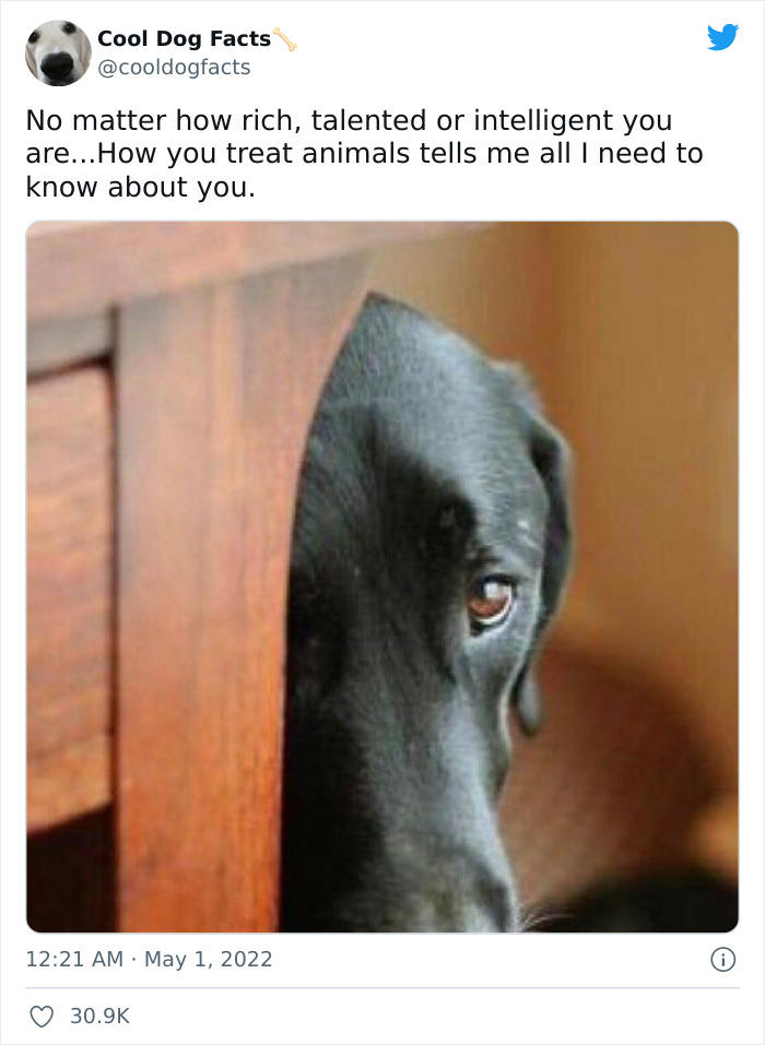 29 tweets that show dogs are truly man’s best friends, shared by this ...