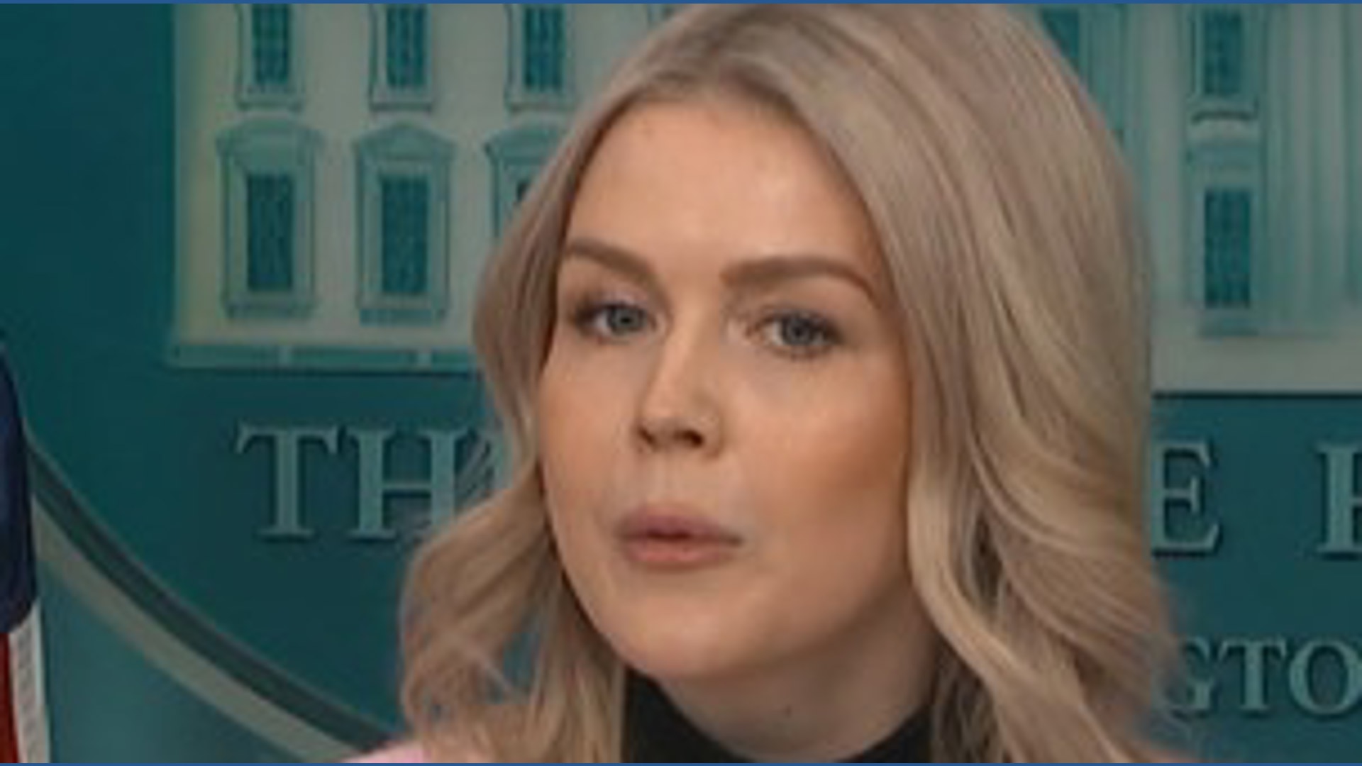 Minnesota fraud investigation