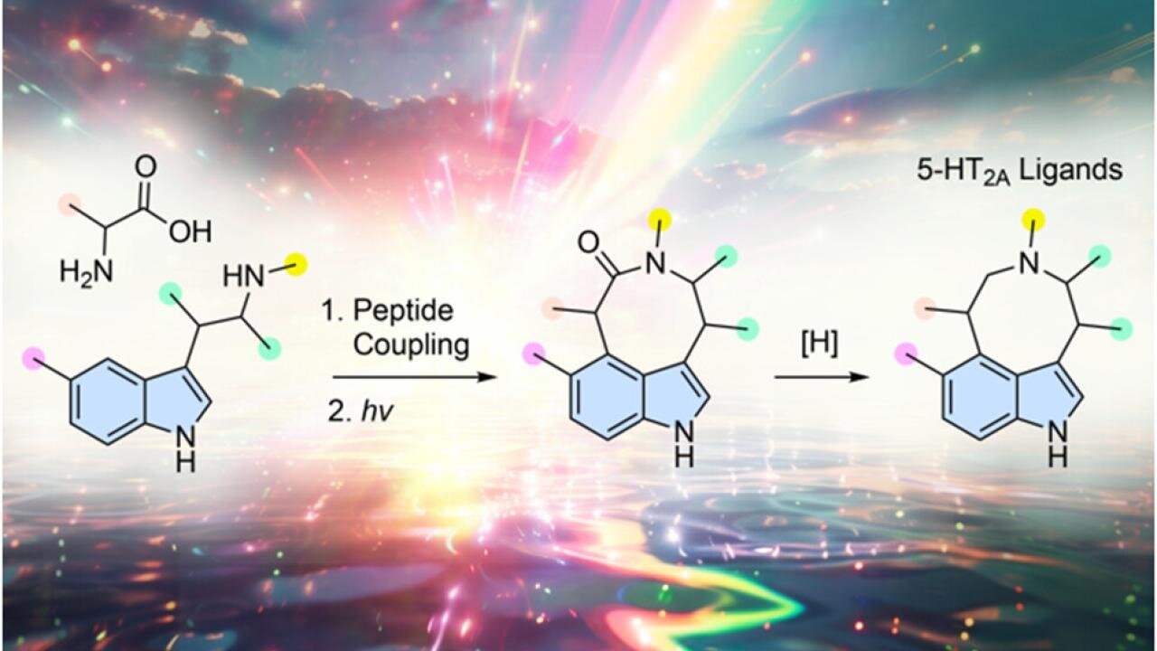 Creating psychedelic-like molecules by shining light on life's basic ...