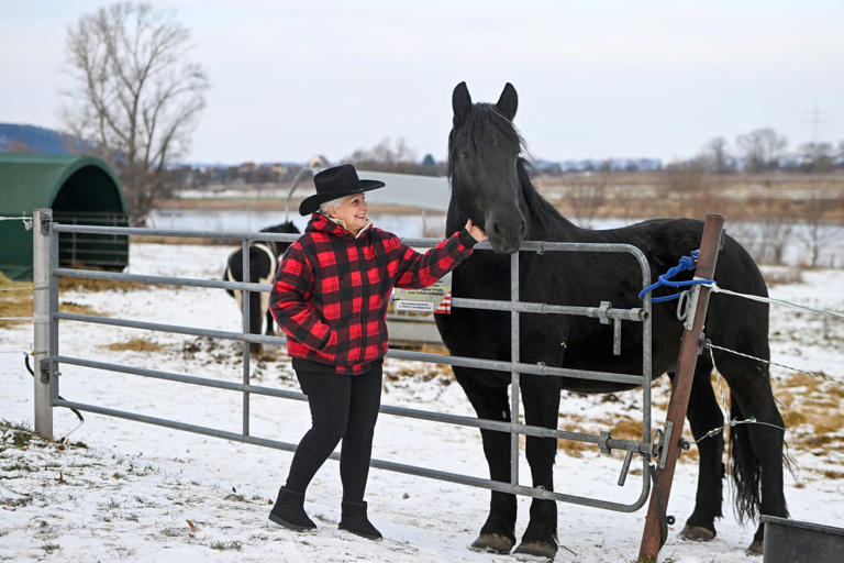 Verein mit Herz bewahrt Pferde vor dem Schlachter