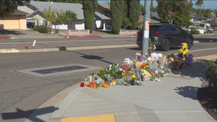 Mother sues city after San Diego sixth grader is hit, killed while ...