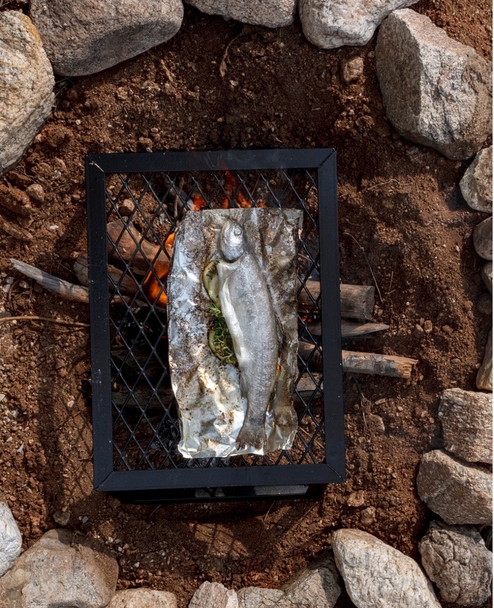 Campfire grilled trout