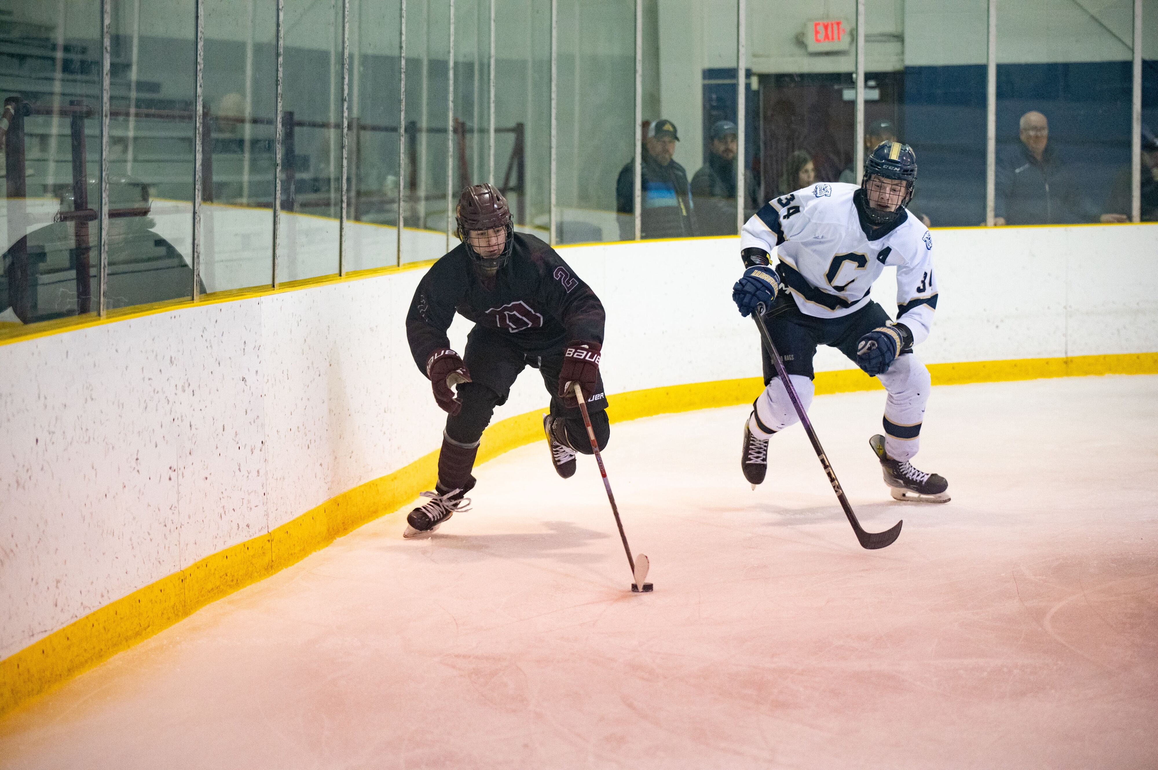 Ann Arbor-area hockey statistic leaders through Jan. 7