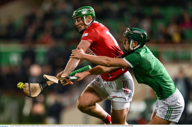 Tom Morrissey leads the way as Limerick dispatch callow Cork