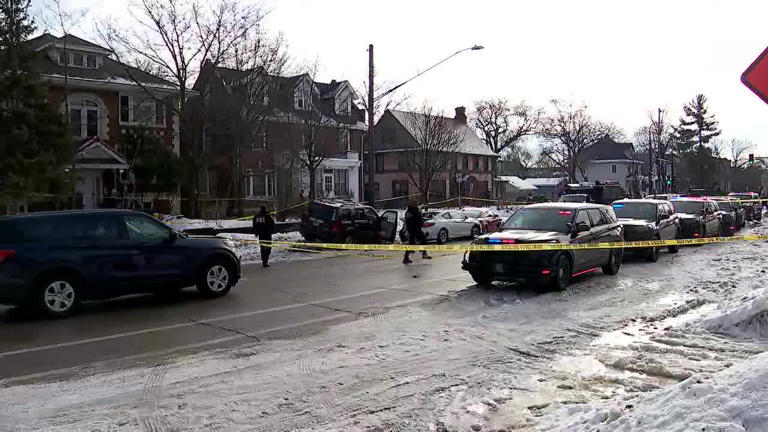 Minneapolis ICE shooting: 911 transcripts detail response to shooting ...