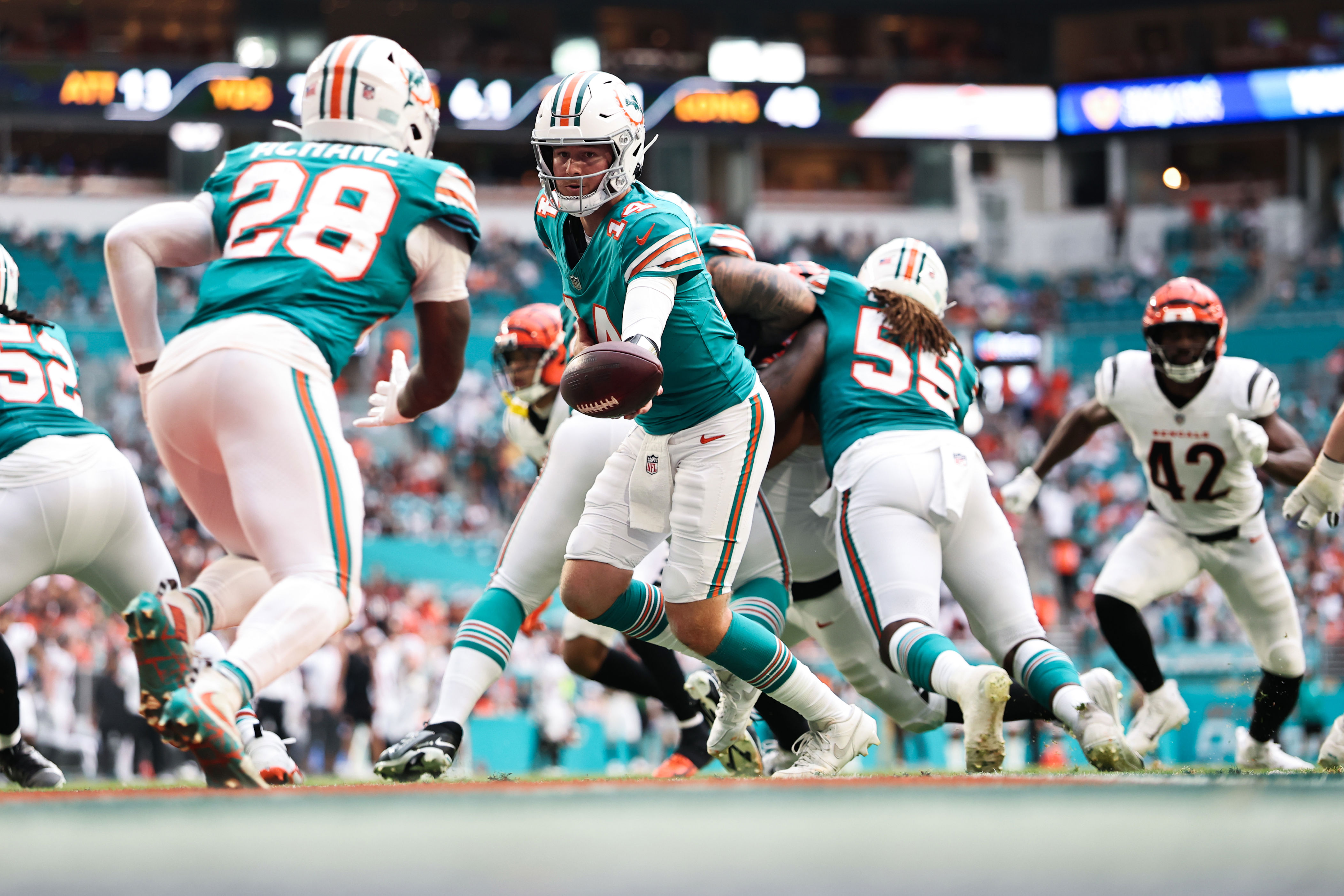 2025 Miami Dolphins fan reactions: How do you feel about the team ...