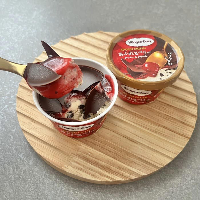 【2025年発売】ハーゲンダッツ フレーバー総選挙! アイスマニアが選ぶBEST5選も紹介♡