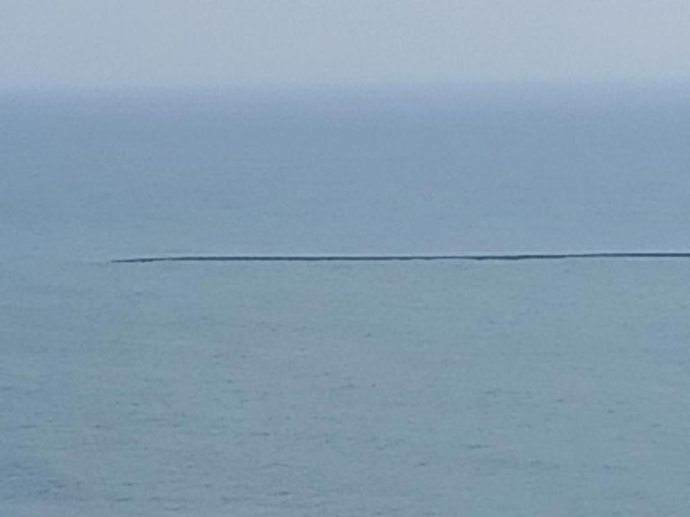 Pipe washes ashore on Grand Strand beach