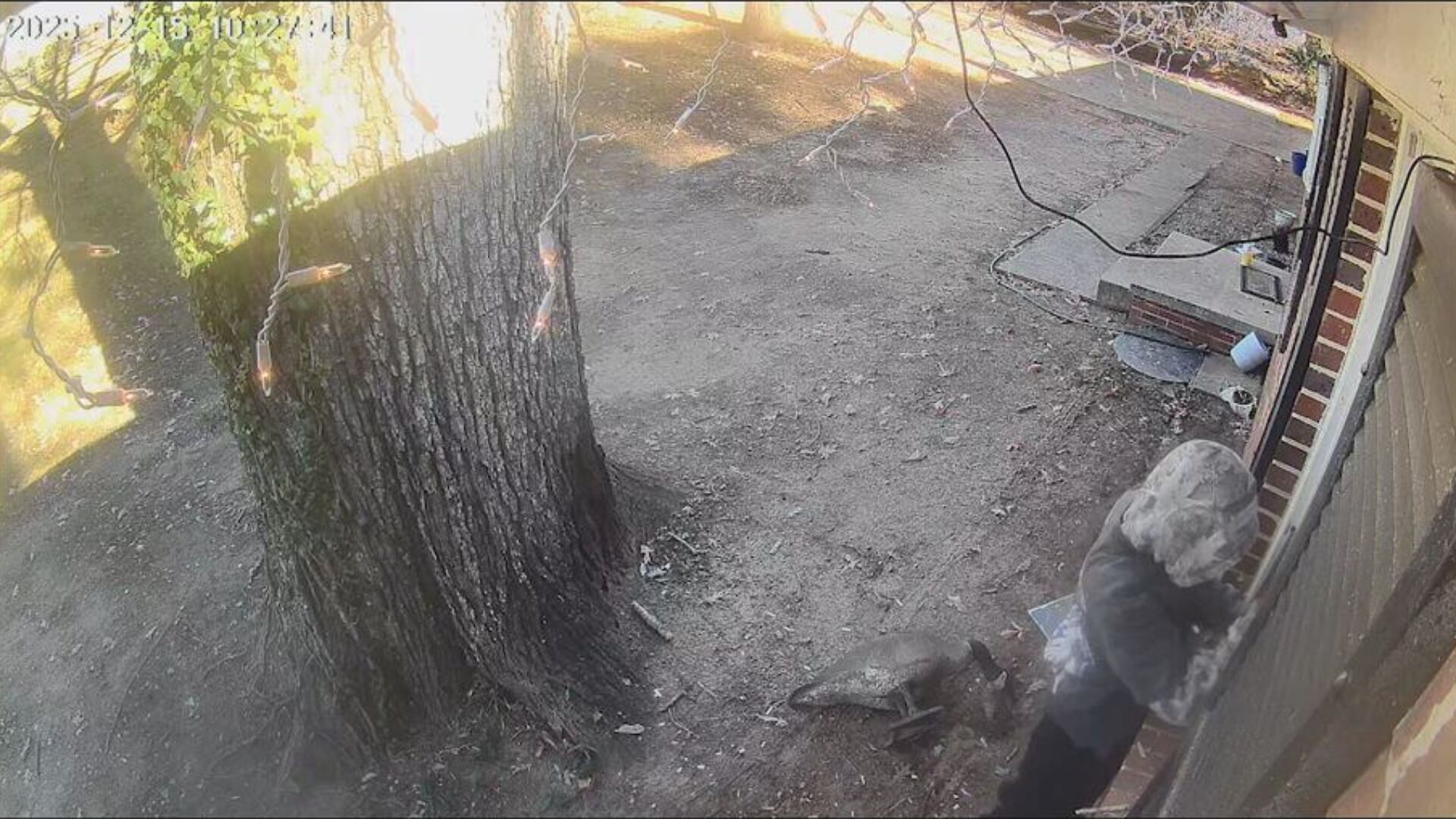 Dramatic police chase to catch Gwinnett County burglary suspect caught ...