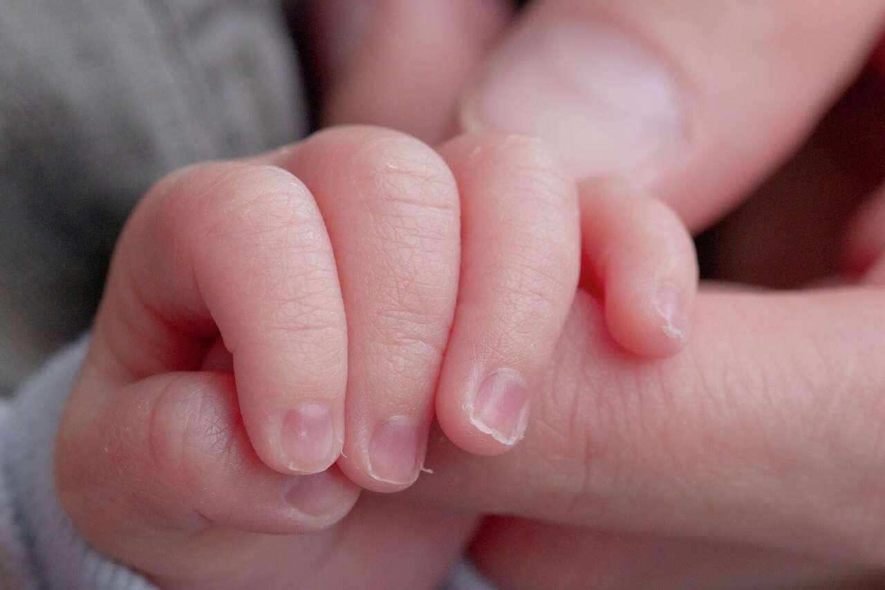 A newborn was safely surrendered in Lubbock, marking Texas' first Safe ...