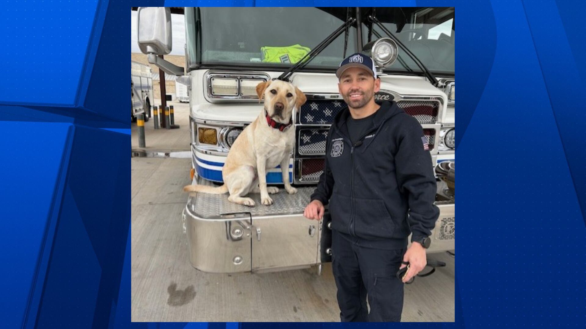 Gilbert Fire and Rescue adds new four-legged arson investigator