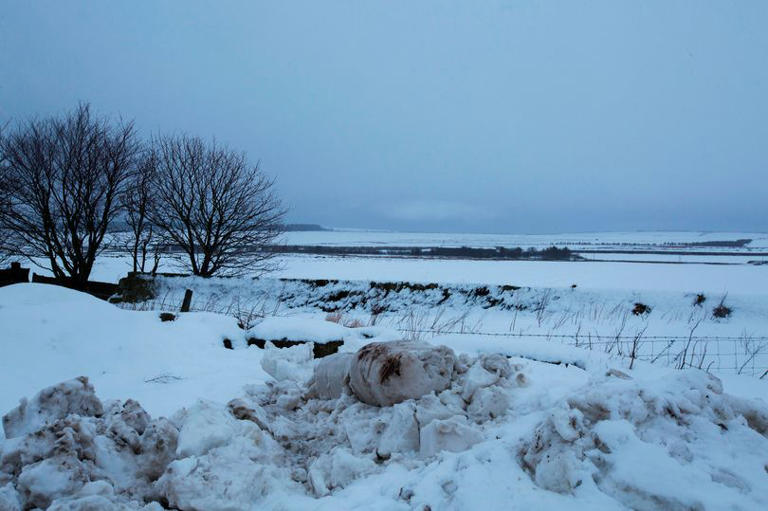 Donald Trump told 'keep your hands off our land' by defiant residents ...