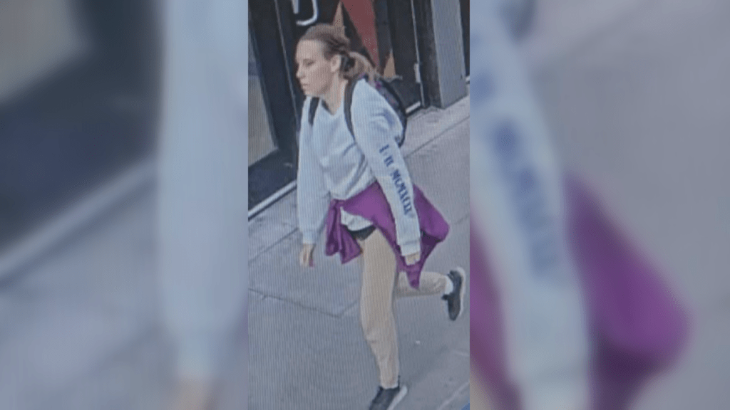 Scammer uses AI image of missing woman in attempt to extort money from ...