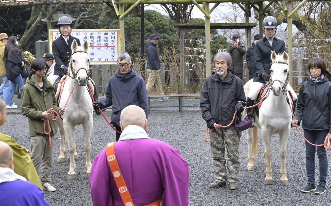 雨引観音、2頭の馬が初詣 茨城・桜川