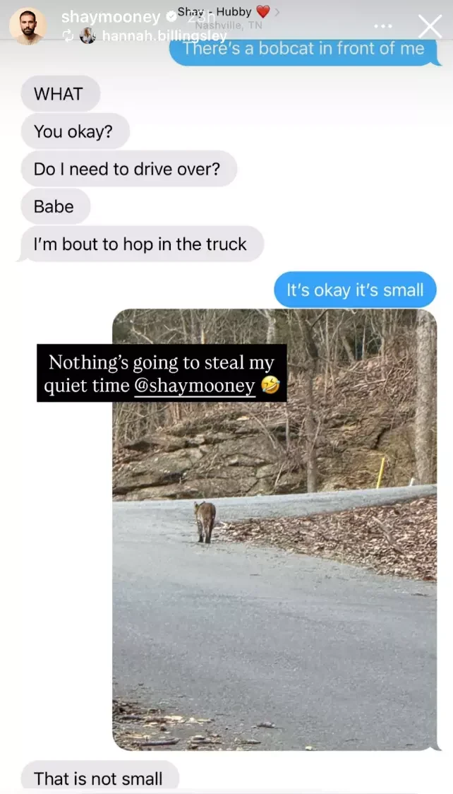 Shay Mooney went into husband mode when wife Hannah encountered a bobcat
