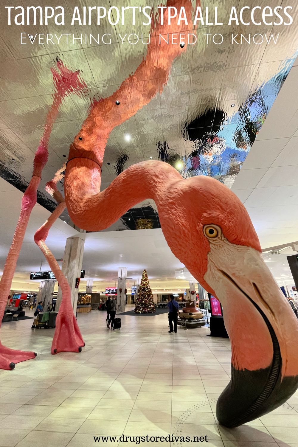 Tampa International Airport's TPA All Access: Everything you need to know