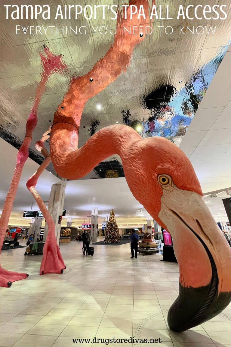 Tampa International Airport's TPA All Access: Everything you need to know