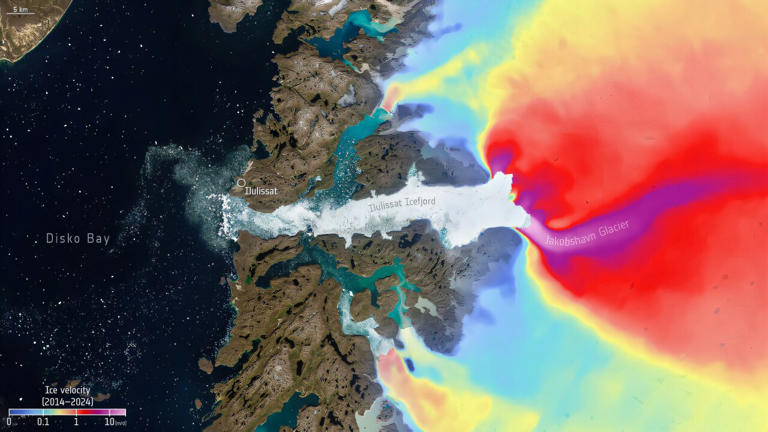 Sentinel-1's decade of essential data over shifting ice sheets
