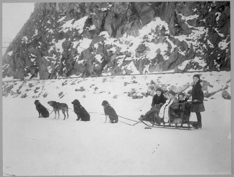 Retro photos of dog sledding from simpler times