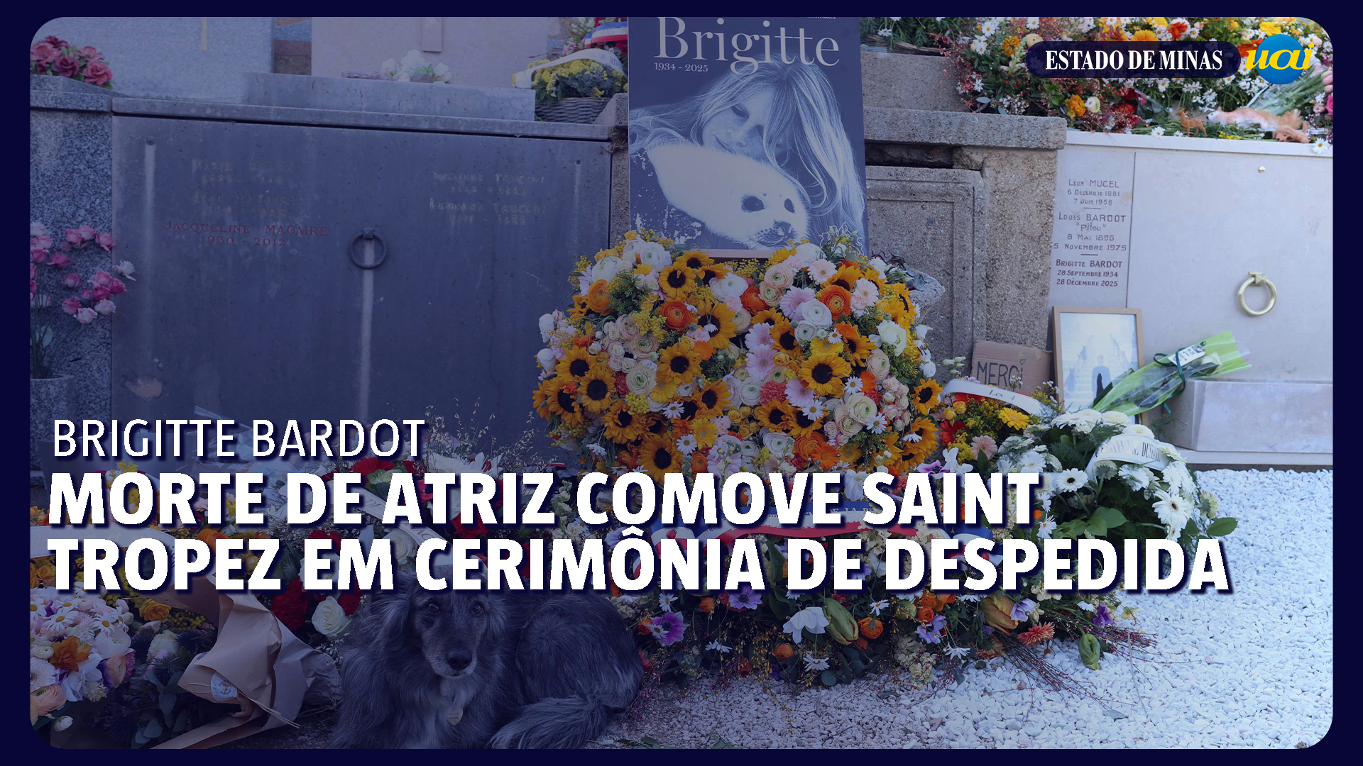 Saint‑Tropez dá último adeus à Brigitte Bardot, que perdeu a luta ...