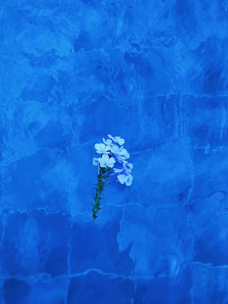 Blue Monday: qué es, por qué existe y si de verdad deberíamos creer en él