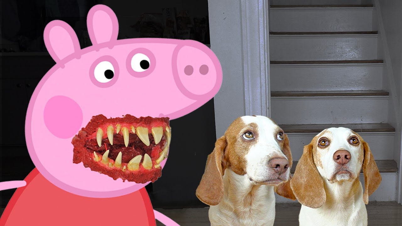 Dogs fight evil Peppa Pig in real life prank