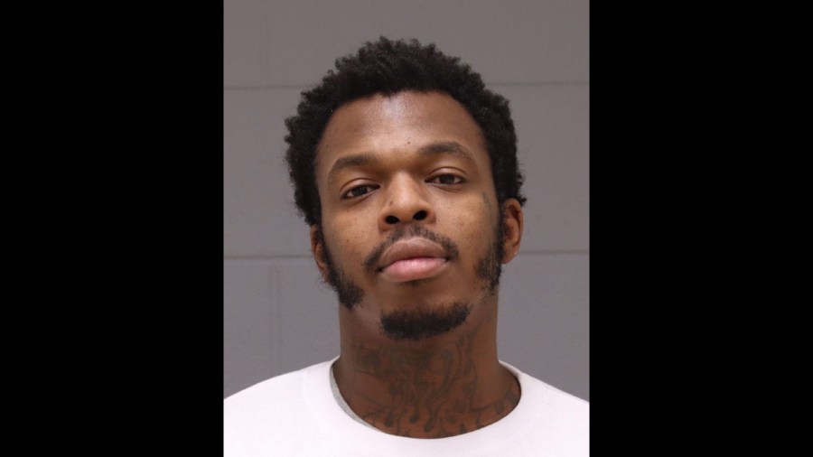 Grand Rapids man gets prison time for hanging dog from bridge