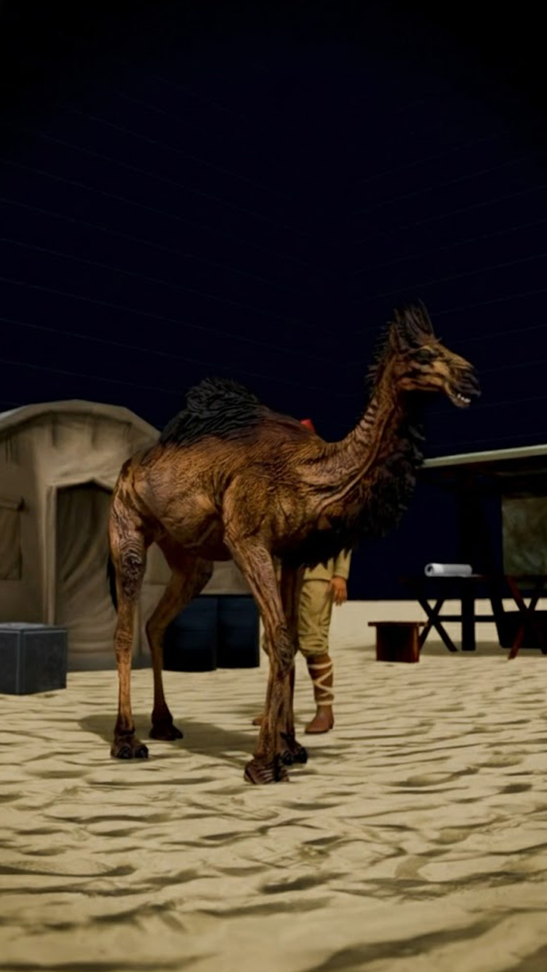 The wildest war plan for camels that failed