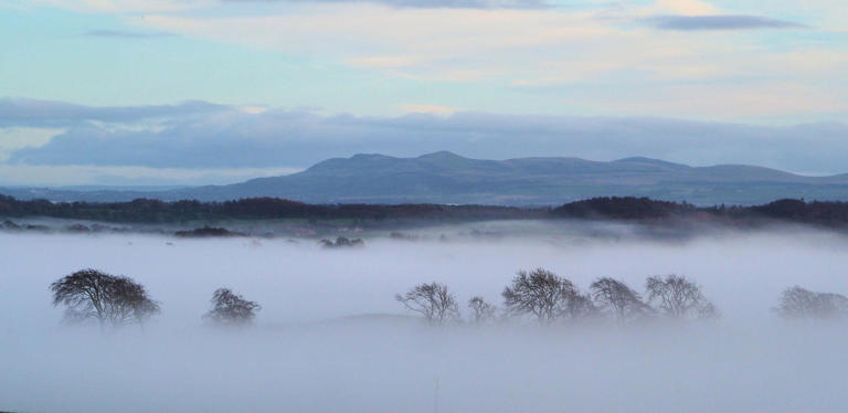 Here's 20 photos taken by Falkirk Herald readers from across Scotland
