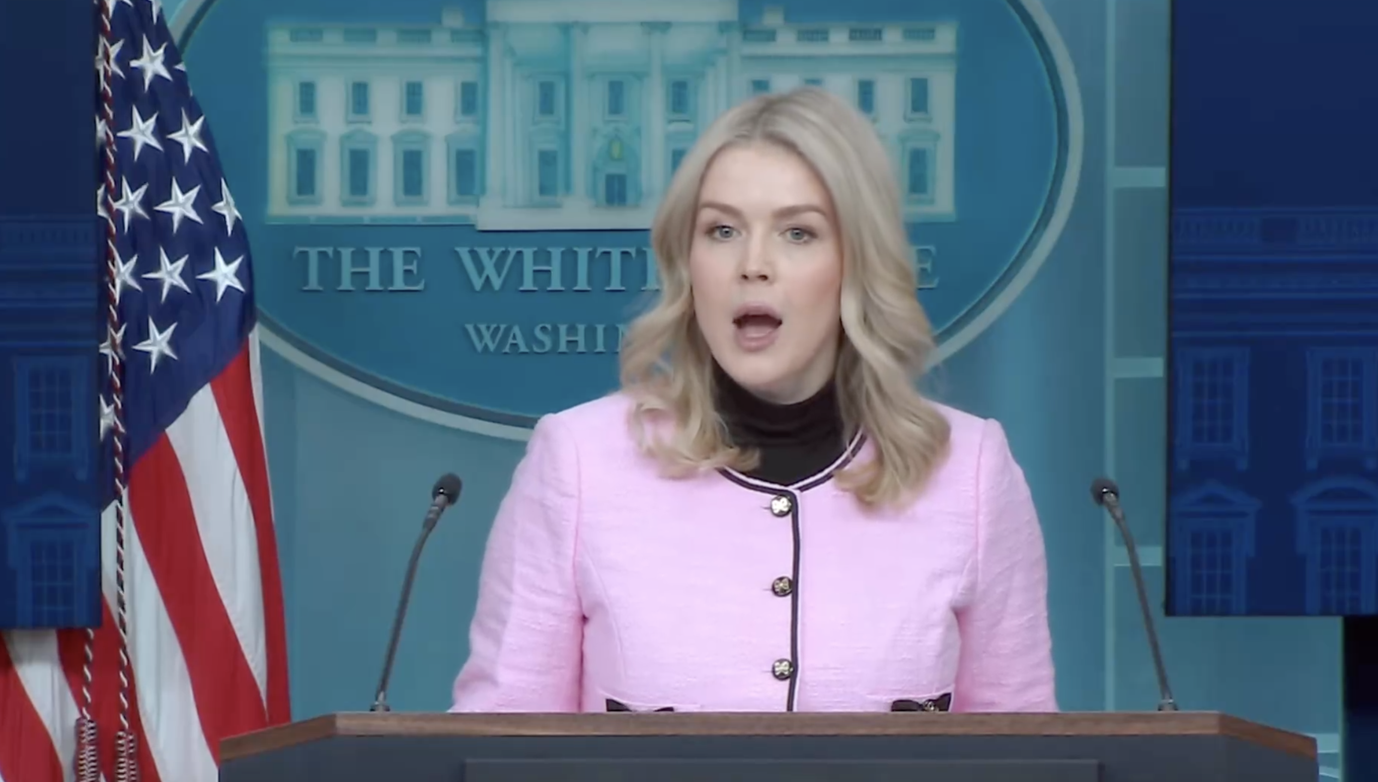 'Um… more control': Karoline Leavitt left speechless, struggles to ...