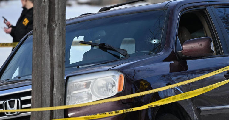 ICE agent shoots and kills a woman during the Minneapolis immigration ...