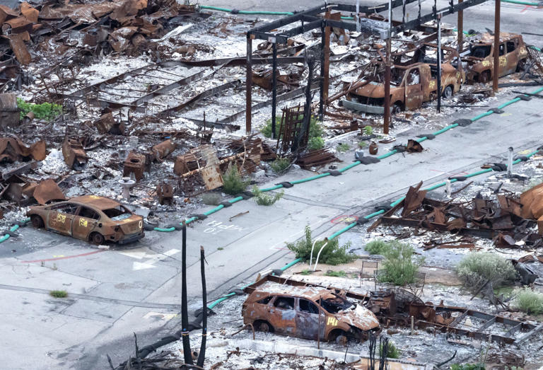 Photos: One year after the Los Angeles wildfires