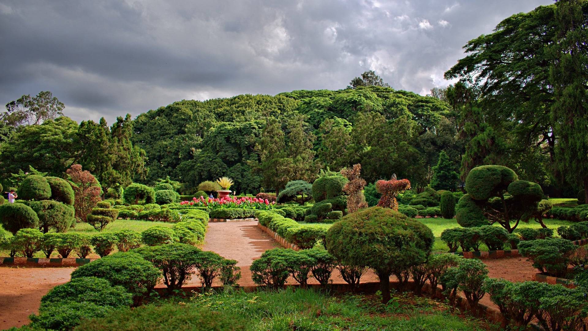 In India, this incredible botanical garden founded in the 18th century ...