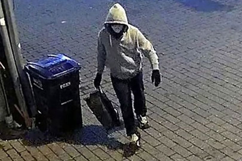 Trump pardon may have unintentionally freed Jan. 6 pipe bomber ...