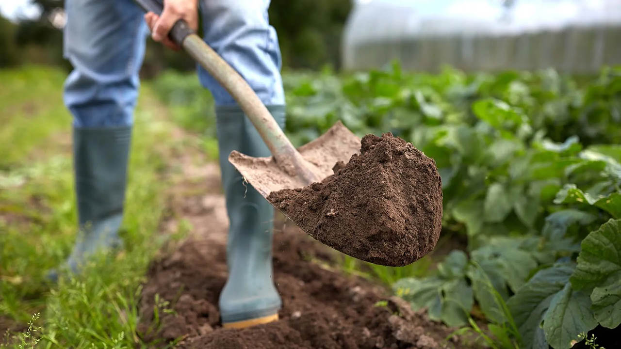 10 things master gardeners want new gardeners to stop doing