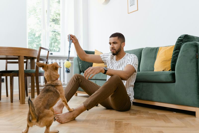 9 signs of your dog’s emotional attachment